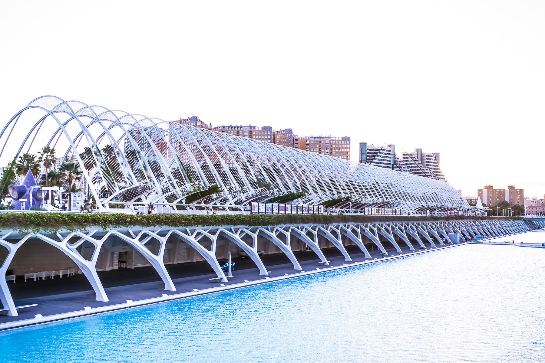 Terraza L'Umbracle - Eventos Grupo Salamandra